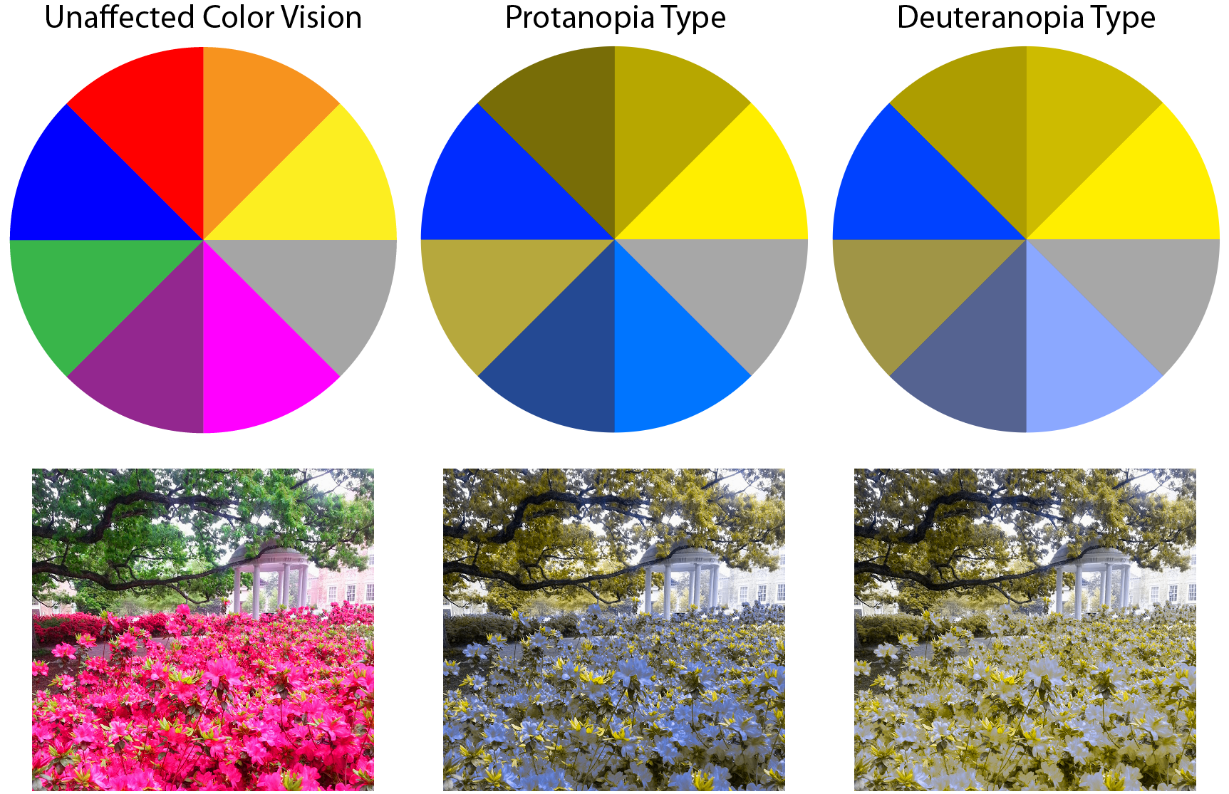 Being Mindful Of Color When Making Figures The Pipettepen